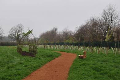 Where to go in the Clyst Valley | Clyst Valley Regional Park