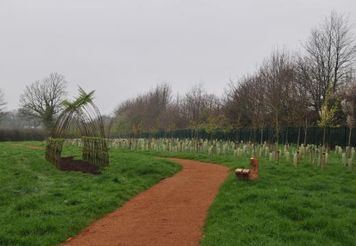 Pin Brook (Minerva) Country Park | Clyst Valley Regional Park
